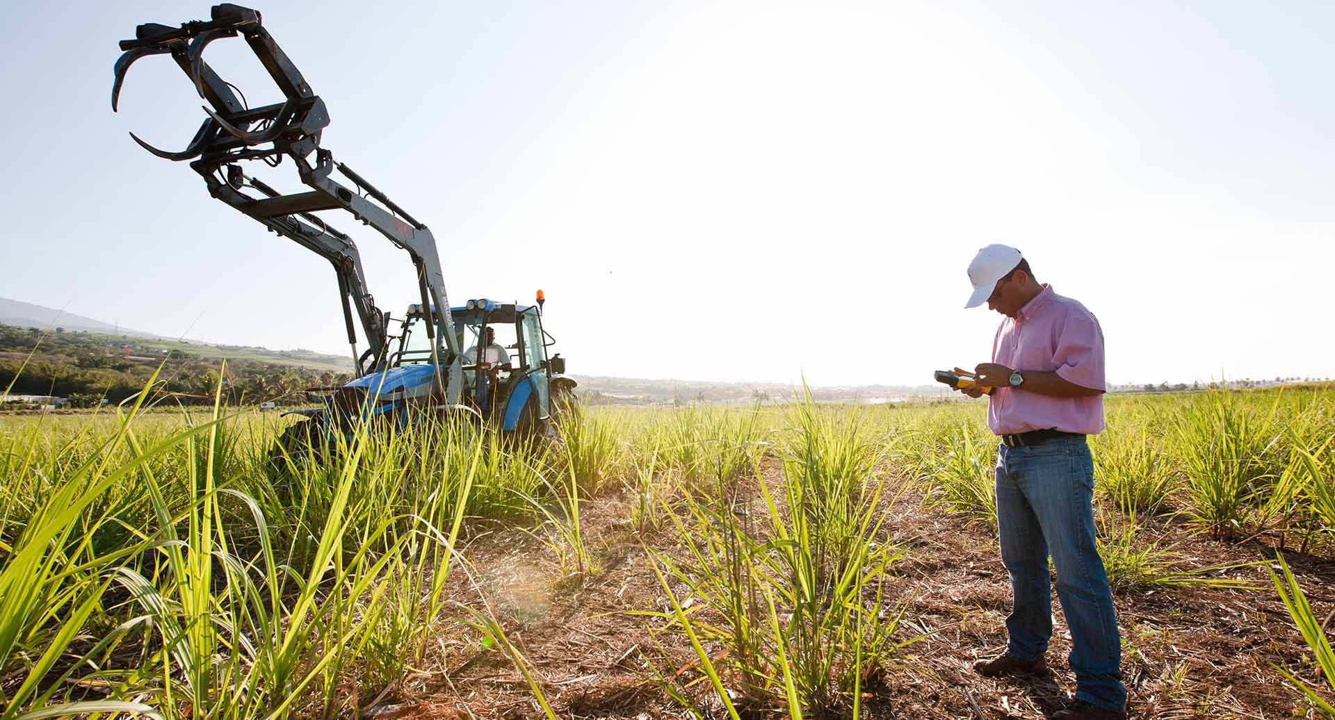 Acting responsibly on the entire value chain - Tereos - Tereos