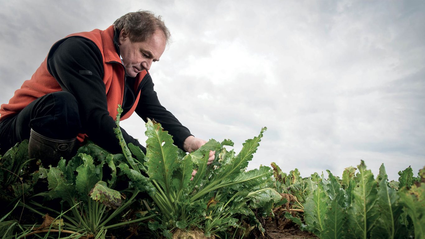 History - Tereos - Tereos