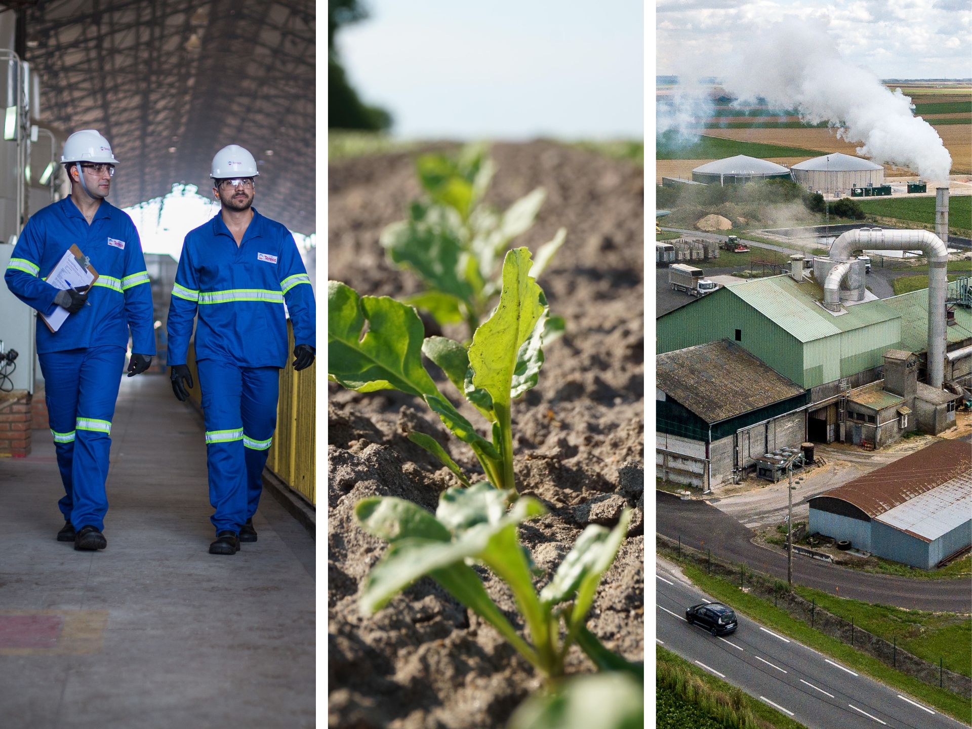 Discover the 2021/22 annual report - Tereos - Tereos